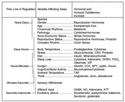 How Brain Health & Neurotransmitters Affect Sleep - SelfHacked