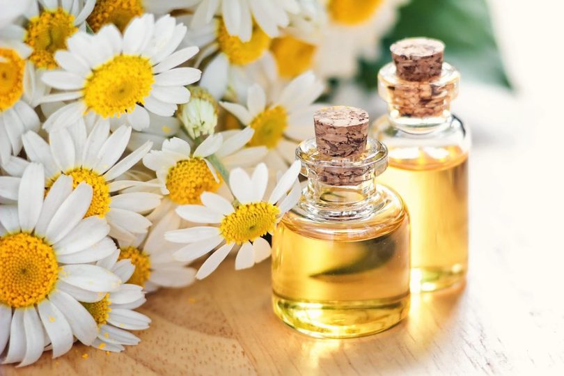 9+ Scientific Health Benefits of Chamomile - SelfHacked