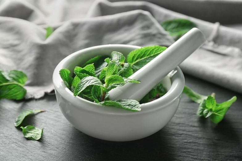 7 Benefits of Lemon Balm + Side Effects - SelfHacked