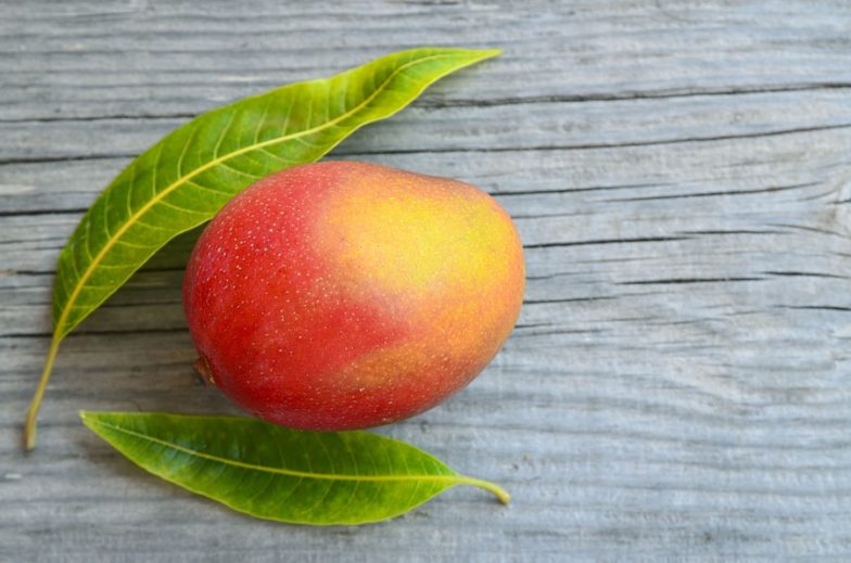 African Mango (Irvingia gabonensis) Benefits & Side Effects - SelfHacked