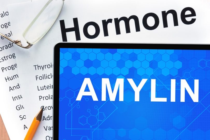 Amylin: Function, Associated Diseases, & Drugs - SelfHacked